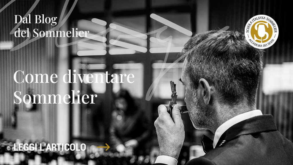 Come diventare sommelier e cosa fa questa figura professionale - Il ...